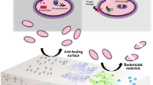 Antimicrobial surface coating as a pathway to curb resistance ...
