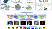 MRI-based habitat imaging in cancer treatment: current technology ...