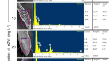 Hydropriming and Nano-Priming with Zinc and Iron Oxide Nanoparticles ...