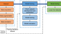 Enhanced visual detection of litchi fruit in complex natural environments based on unmanned ...