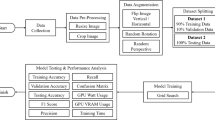 Fake Beef Detection Using Lightweight Convolutional Neural Networks ...