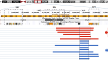 16p13.11 deletion/duplication: a large cohort study on prenatal ...