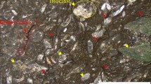 Damage Mechanism Evolution of Argillaceous Siltstone Exposed to Dry–Wet ...