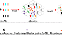 Universal Amplification-Free RNA Detection by Integrating CRISPR-Cas10 ...