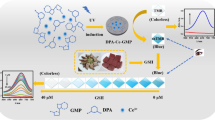 Perylene diimide-functionalized CeO2 nanocomposite as a peroxidase ...