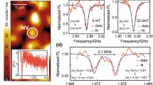 Magnetometry with Nitrogen-Vacancy Centers in Diamond | Springer Nature ...