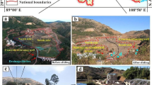 The formation of the Wulipo landslide and the resulting debris flow in ...