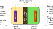 Simultaneous Wastewater Treatment, Algal Biomass Production and ...