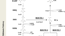 Study of tannic acid stress on bacteria and role of gal enzyme claster ...