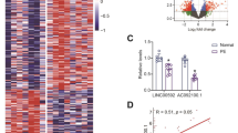 HIF-1α-mediated inhibition of the sFlt-1/sENG/TNF-α pathway promotes ...