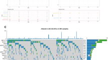 Multiple myeloma risk linked to DNA damage response genes | Journal of ...