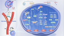 Emerging role of PANoptosis in pathogen infection and systemic diseases ...