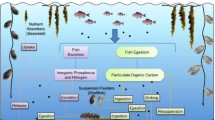 Evolving challenges and innovations in sea cucumber aquaculture ...