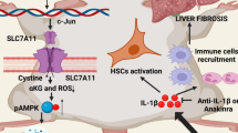 Aging and metabolic dysfunction-associated steatotic liver disease: a ...