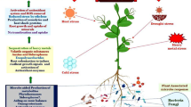Plant Adaptation to Abiotic Stress: From Signaling Pathways and Microbiomes to Molecular ...