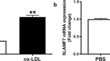 Downregulation of ATP8B2 in atherosclerosis exacerbates foam cell-like ...