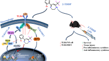 A Quinoxaline Derivative as a New Therapeutic Agent for Sepsis through Suppression of TLR4 ...