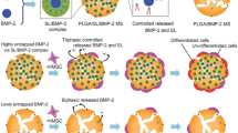 Advancements in Drug Delivery Systems: A Focus on Microsphere-Based ...
