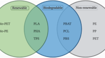 A perspective on biodegradable polymer biocomposites - from processing ...