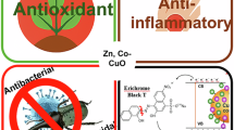Antibacterial Activity of Undoped and (Zn, Co) Co-Doped CuO ...