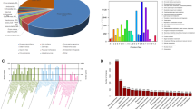 Genomic and transcriptomic insights into evolution and divergence of ...