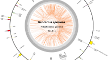 The complete mitochondrial genome of Hemigrapsus sinensis (Brachyura ...