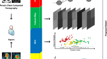 Machine Learning Based Framework for Lung Cancer Detection and Image ...