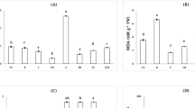 Effects of Compost and Biochar on Barley’s Growth and Response to ...