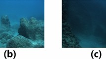 Enhancing Underwater Monocular Depth Estimation with Lpg-Lap Unet for ...