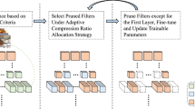Effective Layer Pruning Through Similarity Metric Perspective | SpringerLink