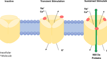 The P2X7 receptor in leukemia: pathological mechanisms and therapeutic ...