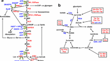 Mechanistic safety assessment via multi-omic characterisation of ...