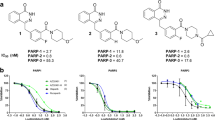 Quinazoline-2,4(1 H,3 H)-dione Scaffold for development of a novel PARP ...