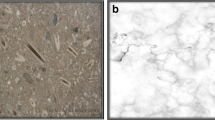 Characterization of the rock blasting process impacts in Lefa gold mine ...