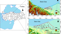 Modeling groundwater levels using satellite images and machine learning ...