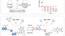 Photoactivated hydroxyl radical generators with highly efficient charge ...