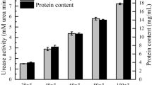 Effects of multi-source plant-derived urease enzyme on the morphology ...