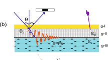 Coherent Manipulation of the Surface Plasmon Polaritons at the ...