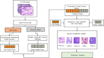 Lung and colon cancer classification using medical imaging: a feature ...