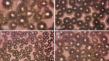 High-performance 316L stainless steel composites: tailoring ...