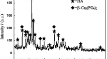 Ca-P conversion coating on AZ60 magnesium alloy for biomedical ...