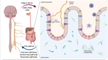 Constipation in Children with Autism: A Comprehensive Review | Current ...