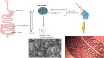 Colon delivery of agomelatine nanoparticles in the treatment of TNBS ...