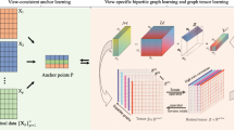 Flexible anchor-based multi-view clustering with low-rank decomposition | International Journal ...