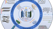 The Origin, Characterization, and Precise Design and Regulation of ...