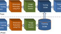 Improving the hyperspectral image classification using convolutional ...