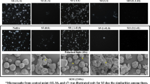 Microwave-Induced Structural and Functional Changes in Small Granule ...