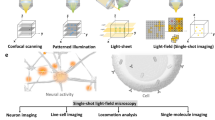 A review of light-field imaging in biomedical sciences | Med-X