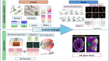 External field-induced synthesis of gradient hydrogels: a review ...