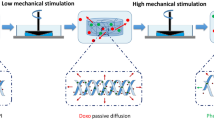 pH- and Reduction-Responsive Supramolecular Hydrogels Based on Pluronic ...